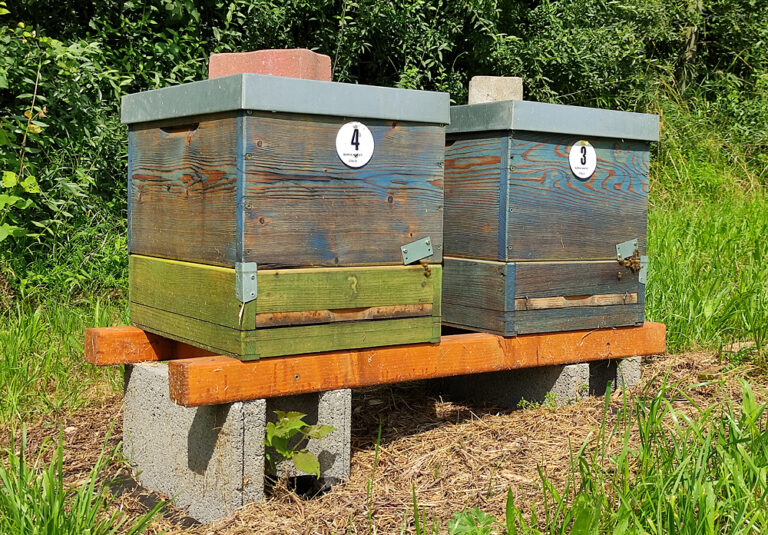 Wie baue ich eine Bienenbeute auf? >> Blog Bienenhof auf der Höhe